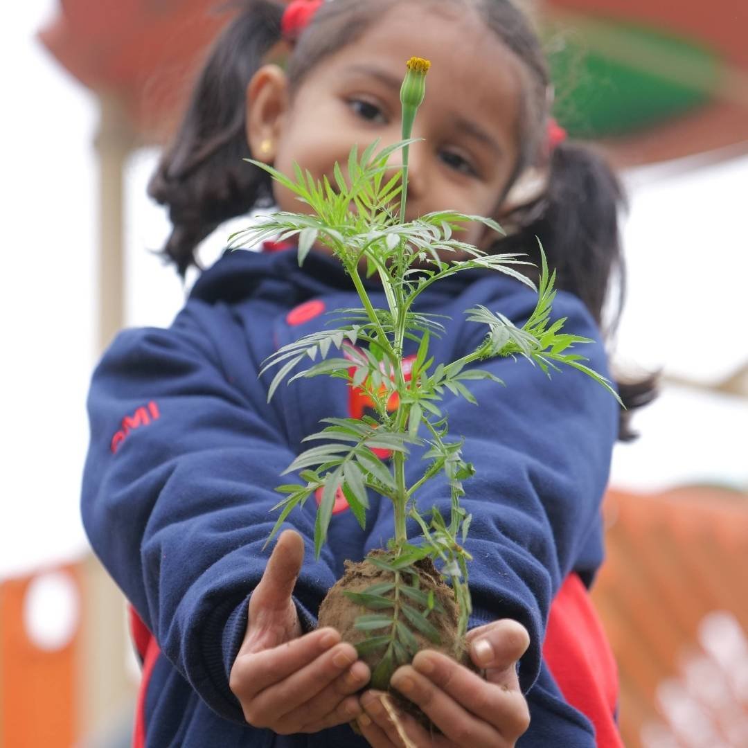 DMA Enrichment Activities | Holistic Development Programs