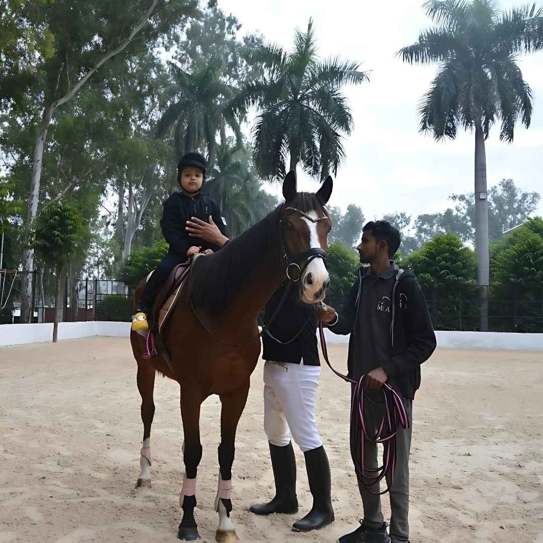 DMA Equestrian Academy | Excellence in Horse Riding Training
